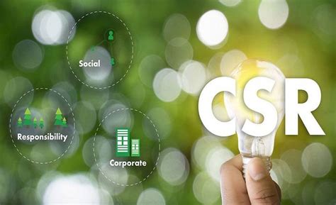 What Is Csr And Examples