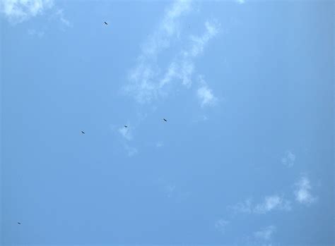 ユーザーフォームのリストボックスにセルの値を入力してファイル検索する らくにブログ