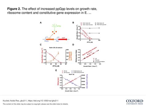 Figure 1 Genetic Tools Used For Perturbing Cellular PpGpp Levels In