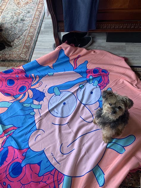 Tried Taking A Photo Of My New Rick Beach Towel Romeo Said F Your