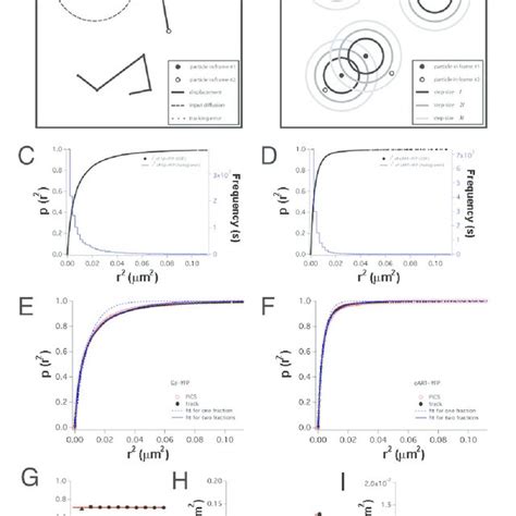 Single Molecule Imaging Of Car1 Yfp And Gb Yfp In Live Cells By Tirf