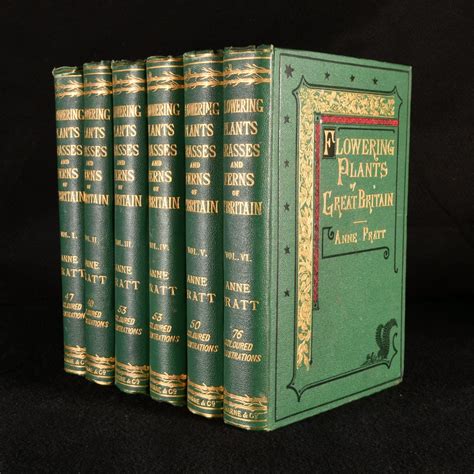 The Flowering Plants Grasses Sedges And Ferns Of Great Britain And