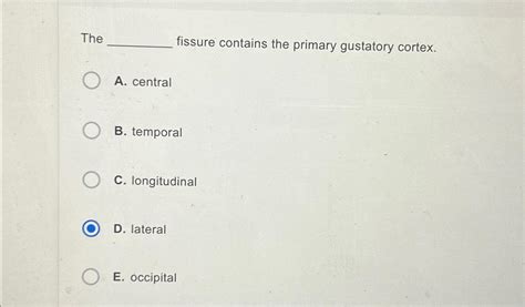 Solved The Fissure Contains The Primary Gustatory Cortex A