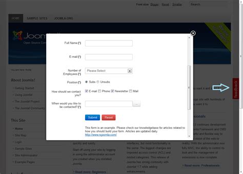 RSForm Pro Feedback Module