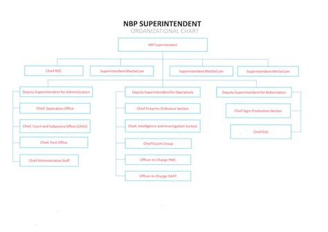 Bucor Nbp Max Comp Org Chart And Number Of Staffs Per Directorate