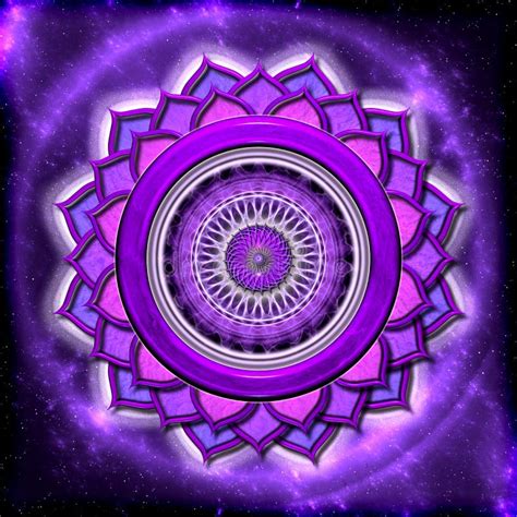 Mandalas Chakra иллюстрация штока иллюстрации насчитывающей цветы