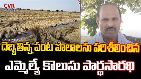 దెబ్బతిన్న పంట పొలాలను పరిశీలించిన ఎమ్మెల్యే కొలుసు పార్థసారథి Kolusu