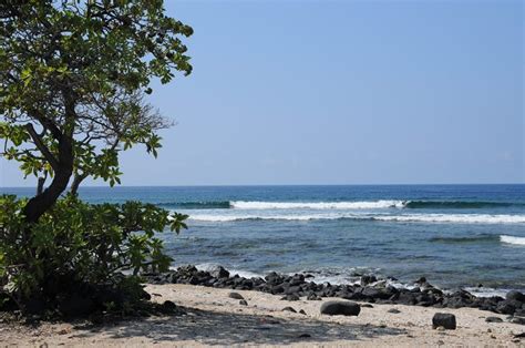 Pine Trees Beach Big Island To