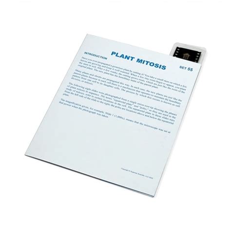 Supertek Microslide Plant Mitosis Microslide Type Plant Mitosis