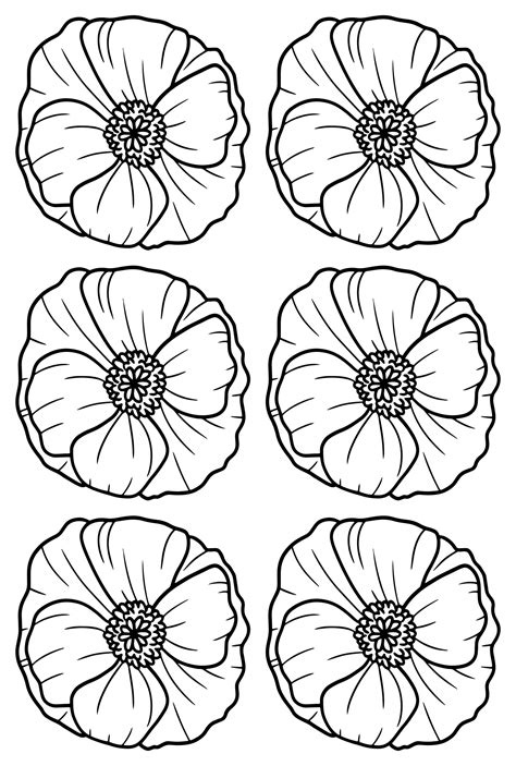 Poppy Flower Stencil Patterns 15 Free Pdf Printables Printablee