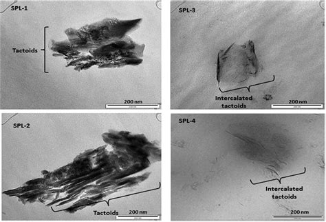 Tem Results Showing The Tactoids Download Scientific Diagram