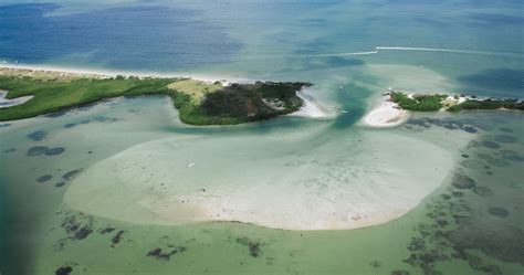 Clear Kayak Tour In Shell Key Preserve Gallery