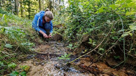 Naturnahe Bäche als Schutz vor Hochwasser und Trockenheit