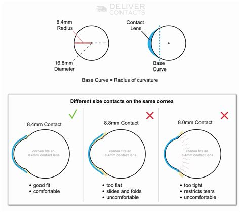Understanding Base Curve BC For Contact Lens Prescriptions