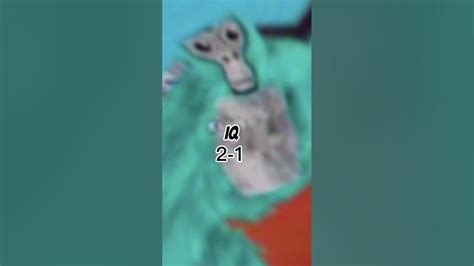 Echo Vs Pbbv Youtube