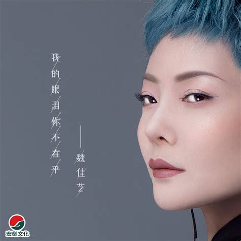 我的眼泪你不在乎 Dj默涵版 Youtube Music