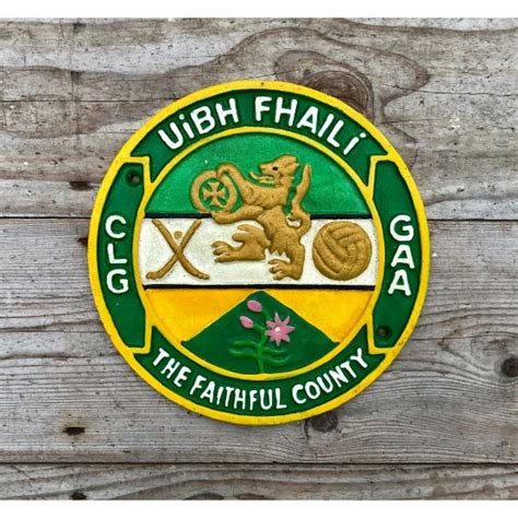 Offaly Crest Cast Iron Hs268 Kilkenny Architectural Salvage And Antiques