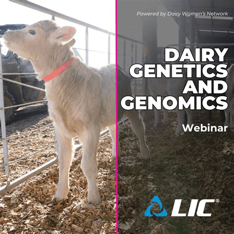 Dairy Genetics And Genomics Dairy Womens Network