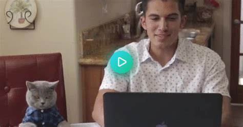 When She Is Already In A Relationship  On Imgur