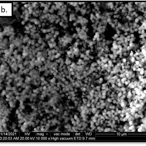 Ir Spectra Of A Silica Based Hard Template Sio2 Ht Orange Coated