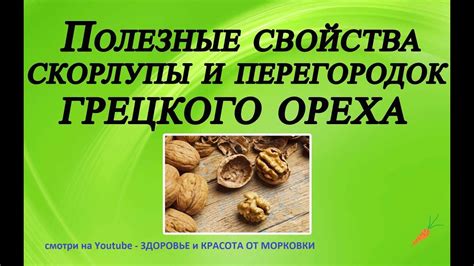 Удивительные свойства скорлупы грецкого ореха и способы ее применения Youtube