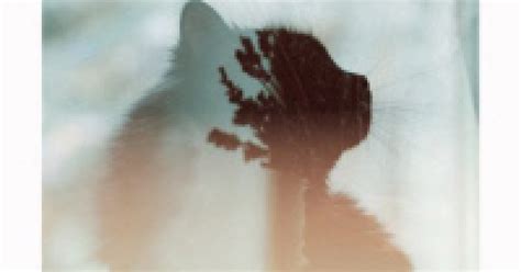 최소한의 최선 外 새책