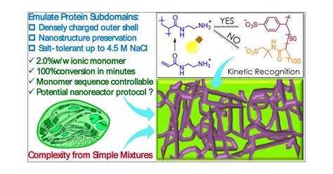 Site Specific Polymerization Induced Electrostatic Self Assembly Synthesis Of Highly Charged