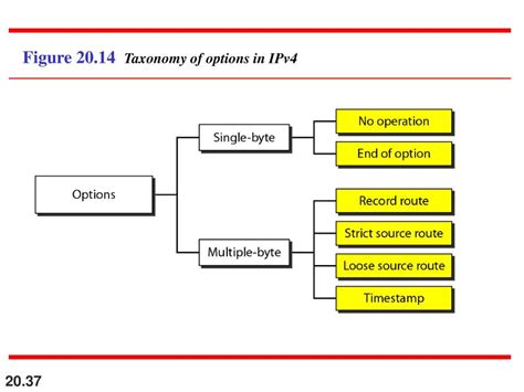 Network Layer Internet Protocol Powerpoint Slides Myprivatetutor Uae
