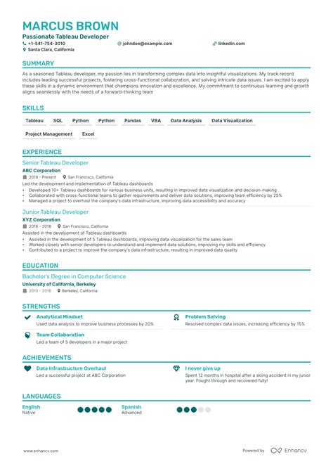 Tableau Developer Resume Examples Guide For