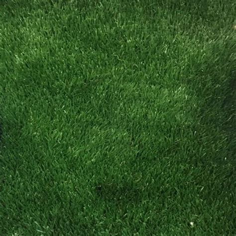 Pe Straight Artificial Garden Grass Packaging Type Roll At Rs 100