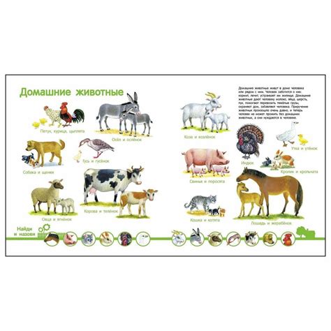 Картинки Домашние животные и их детеныши для детей 3 4 лет 29 шт 7552