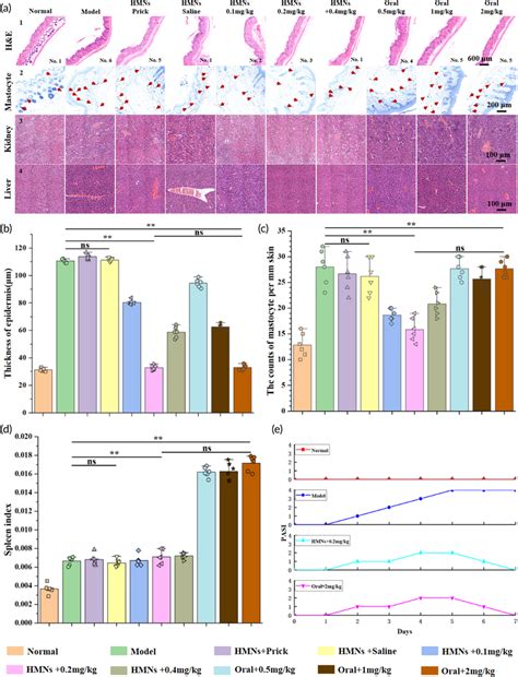 Pathological Analysis Of In Vivo Experiments A Analysis Of Hande Download Scientific Diagram