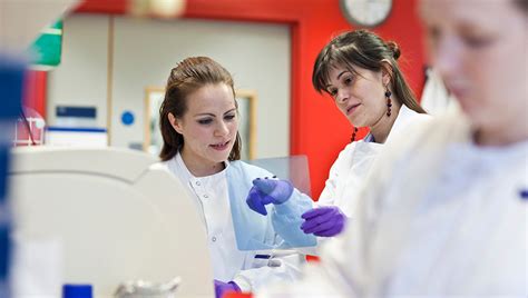 Scientists Halt Breast Cancer Spread Cancer Research Uk Cancer News