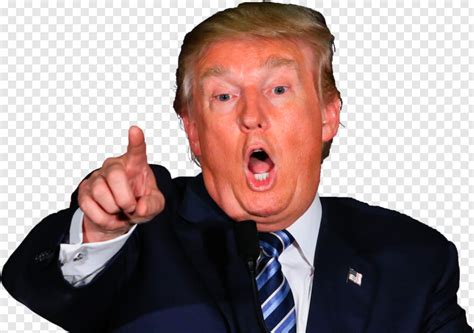 Donald Duck Donald Trump Donald Trump Head Donald Trump Face Donald