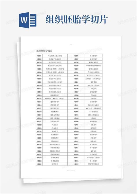 组织胚胎学切片word模板下载 编号lwjyvxrj 熊猫办公