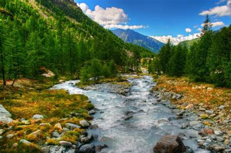 Stream（编程语言中的stream）百度百科