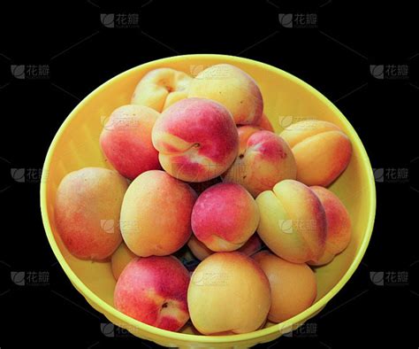 成熟的杏子在碗里孤立黑色