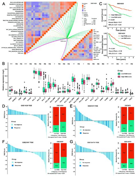 Validation Of The Rab Score For The Immunotherapy Response A