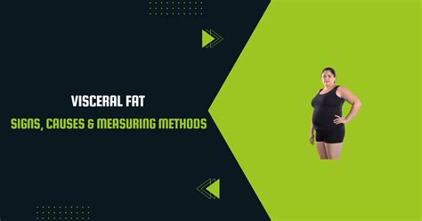 Visceral Fat Signs Causes And Measuring Methods Sustainable Food