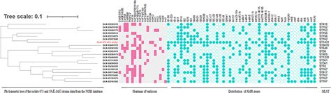 Emergence Of A BlaNDM Carrying IncHI IncHI A Plasmid In A Multidrug IDR