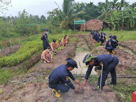 ဒေးဒရဲမြို့နယ် ကျုံသင်ကျေးရွာတွင် မိုးရာသီသစ်ပင်စိုက်ပျိုးပွဲကျင်းပ