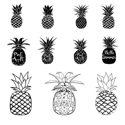 Pineapple Sketch Icon Logo插圖和矢量圖形 Istock
