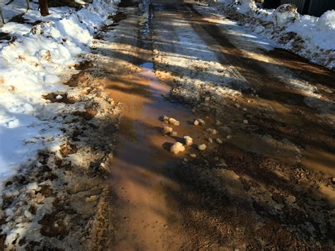 Free Images Sea Tree Water Nature Rock Snow Winter Sunlight