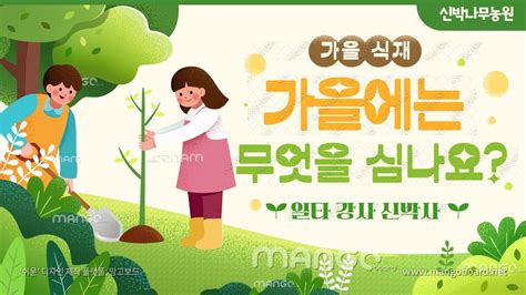 가을에는 어떤 나무를 심는지 궁금하신가요 Youtube