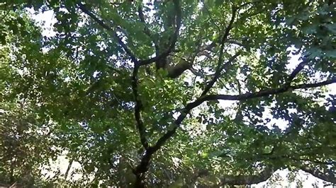 Ecoaldeas Historia Real En La Ecoaldea Espiral Youtube