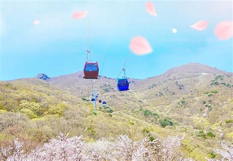 거제파노라마케이블카 이용권 최저가 액티비티 인기상품 야놀자