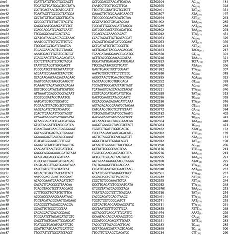 Designing Information Of Genome Wide Ssr Markers Download Scientific