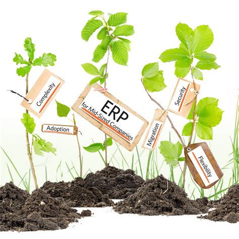 Argano Erp Erpimplementation Growwithsap Mythbusting Sap Argano 4 Sap