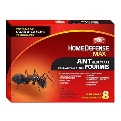 Ortho Otho Home Defense Ant Glue Trap The Home Depot Canada