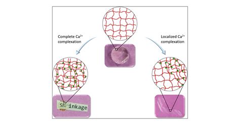 Dual Cross Linked Stimuli Responsive Alginate Based Hydrogels Biomacromolecules